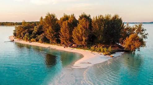 Gegara Ada Agas di Pulau Dodola, Bupati Terpaksa Hukum Seluruh Pegawai ...